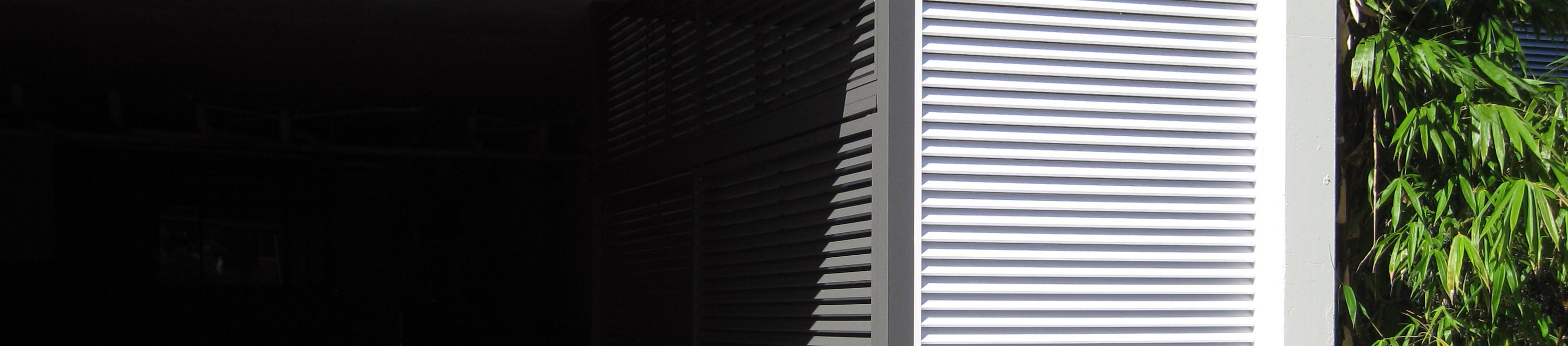 Privacy Screens